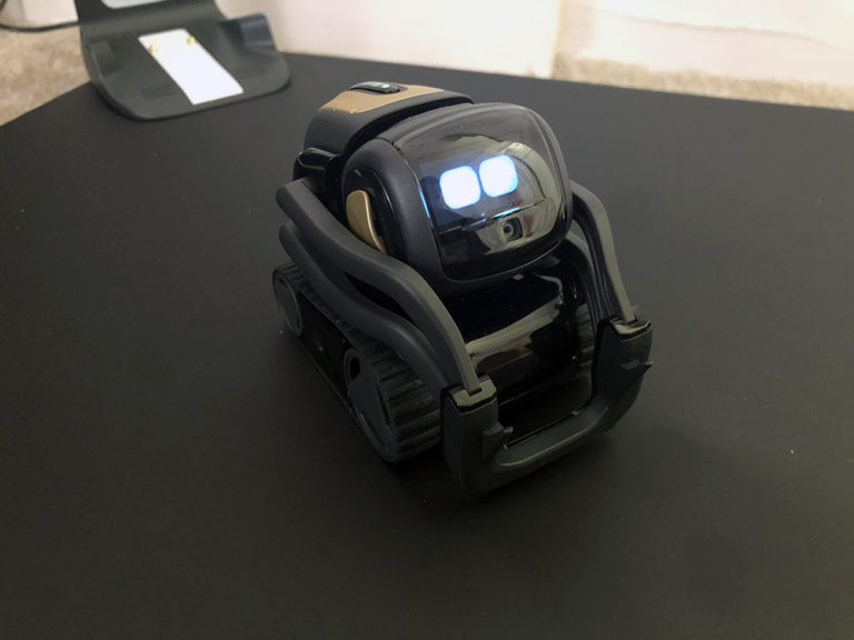 Can the Anki Vector robot assistant feel real emotions?