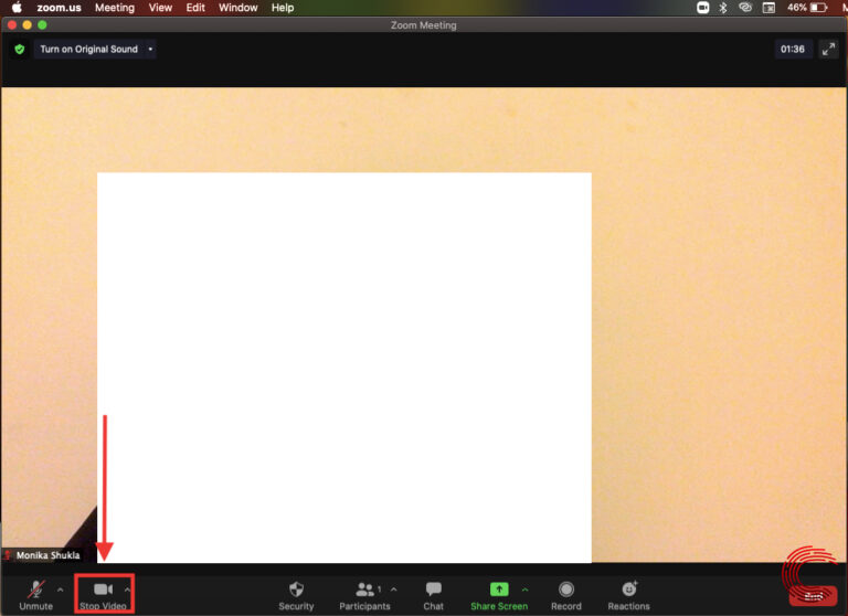 How to turn off my Camera on Zoom?