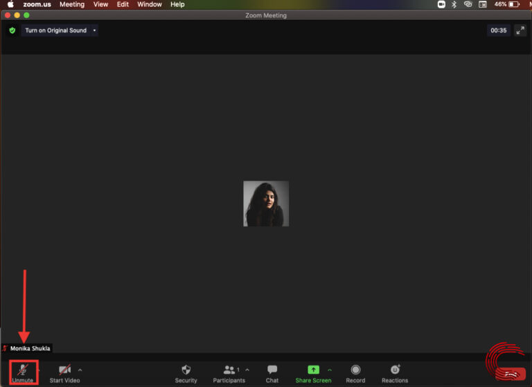 How to mute yourself on Zoom? How to turn off the video?