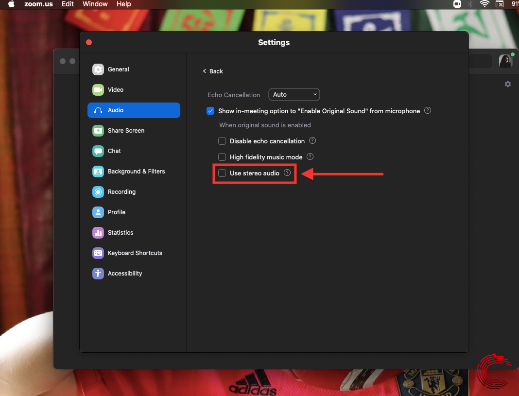 How to share audio on Zoom?