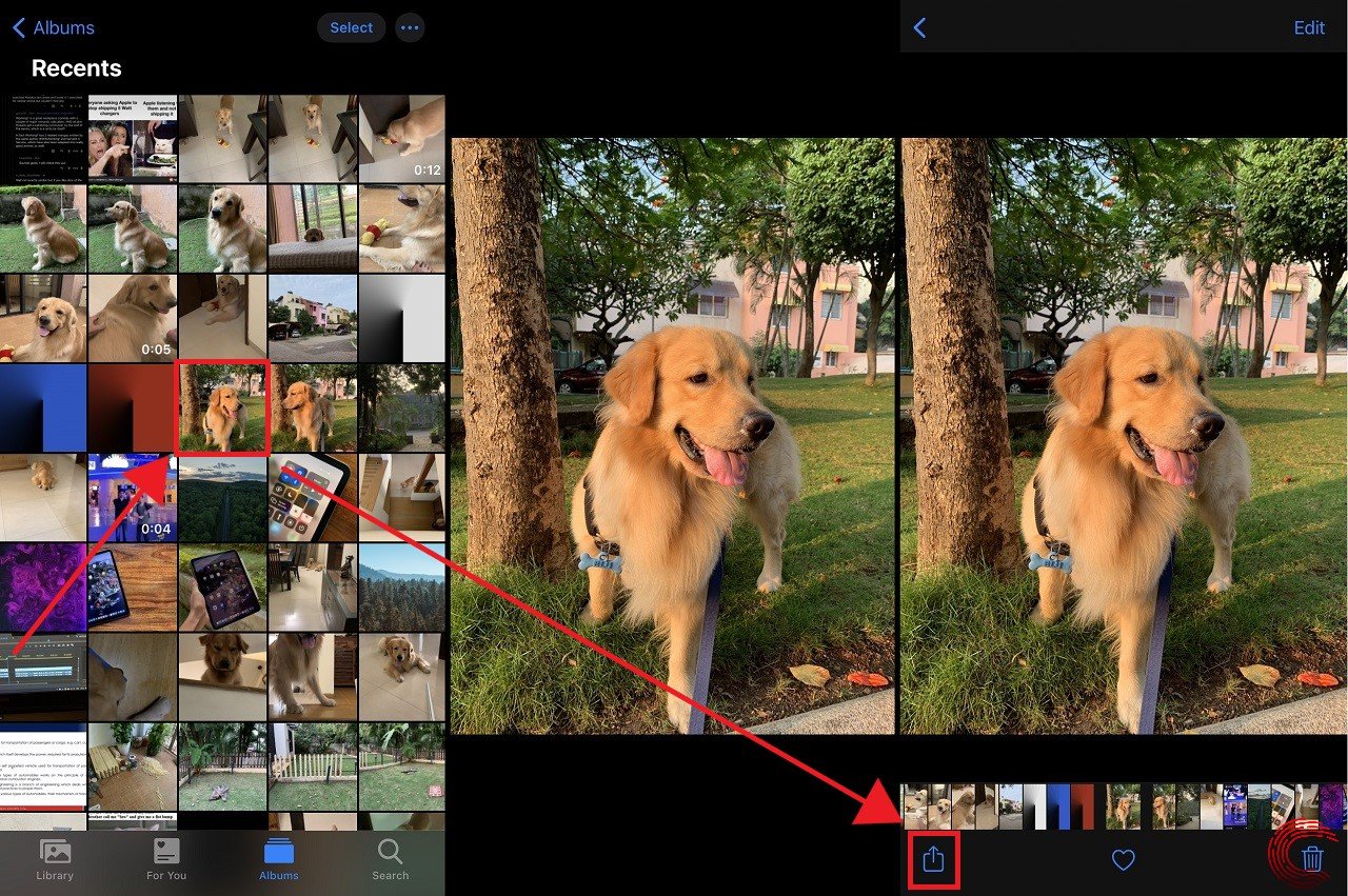 How to transfer photos and videos from iPhone to Windows PC?