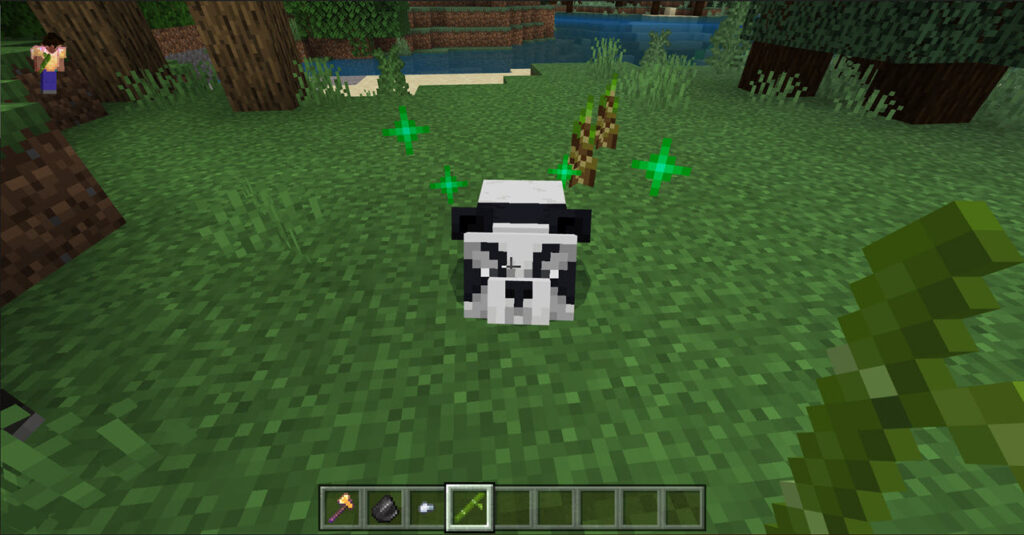 How to tame a Panda in Minecraft?