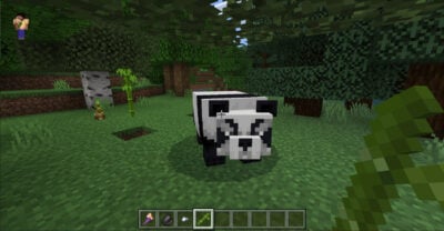 How to show hitboxes in Minecraft?