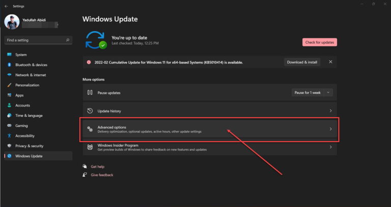 How to turn delivery optimisation off in Windows 11?