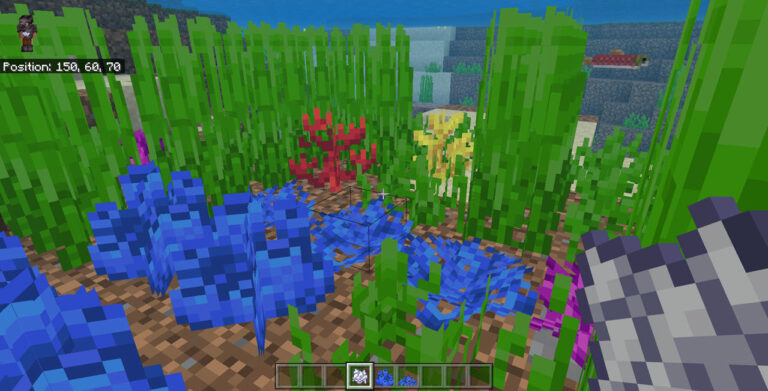 Can you grow coral in Minecraft?