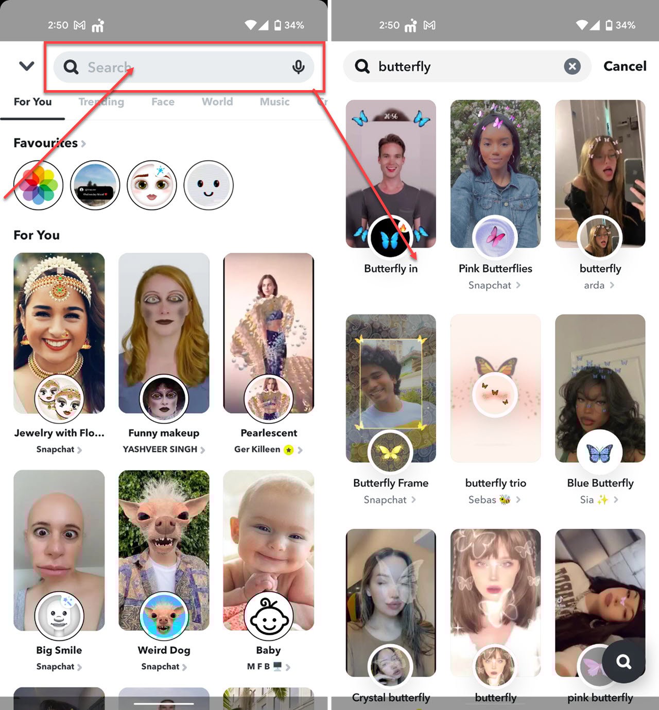 How to get Butterfly Lens on Snapchat?
