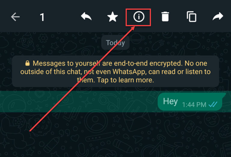 What do the WhatsApp app icons mean?