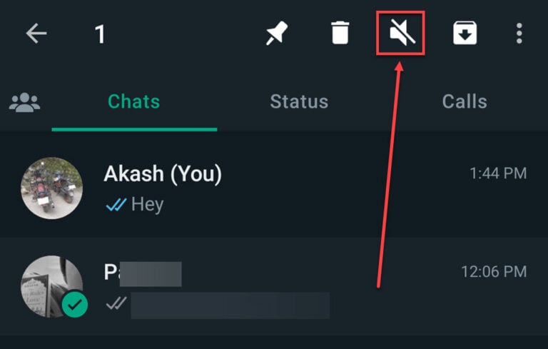 What do the WhatsApp app icons mean?
