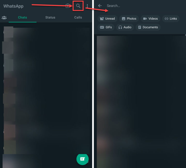 What do the WhatsApp app icons mean?