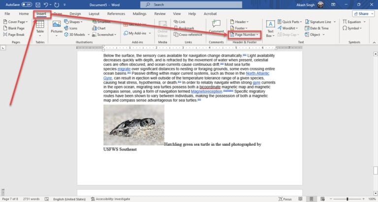 How to add page numbers in Word?