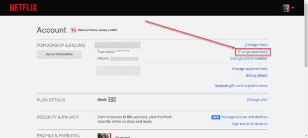 How to see your Netflix password on phone, PC or TV?