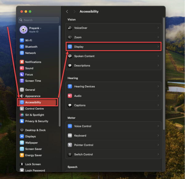 How to make the mouse pointer bigger in macOS?