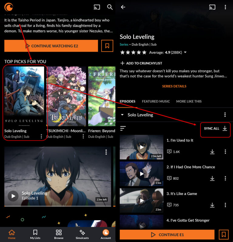How to download episodes in Crunchyroll?
