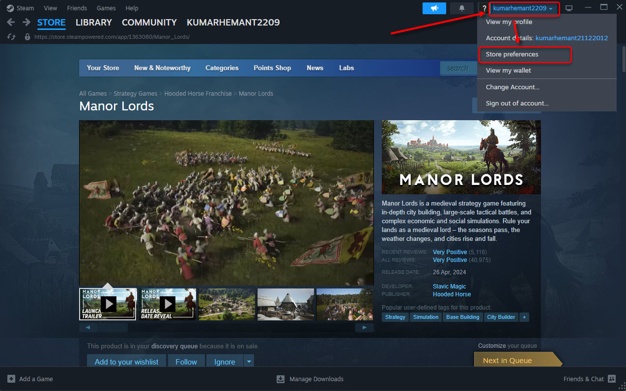 How to change language on Steam?