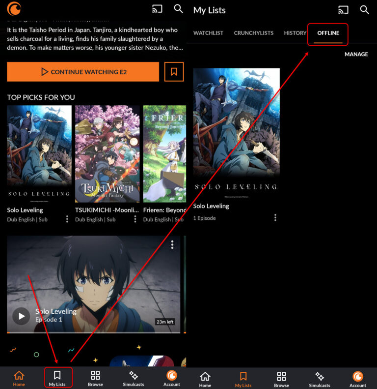How to download episodes in Crunchyroll?