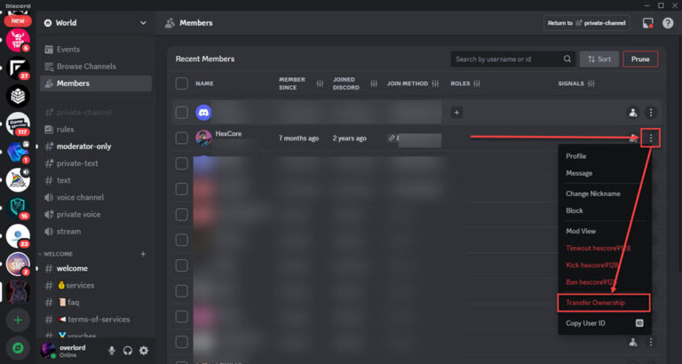 How to transfer ownership on Discord? | Candid.Technology